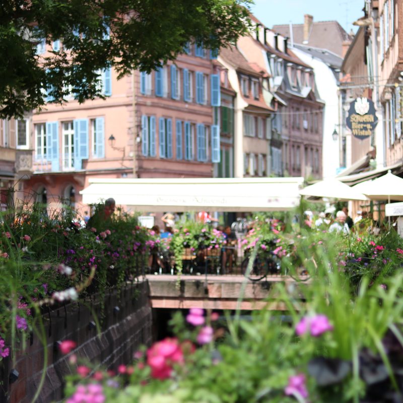 Reisebericht Colmar - Tipps für einen Kurztrip ins Elsass